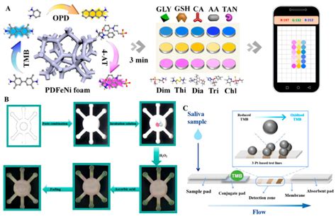 Recent Advances In Nanozyme Based Sensing Technology For Antioxidant Detection Pmc