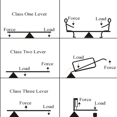 Types Of Levers First Second Third Order Examples 42 Off