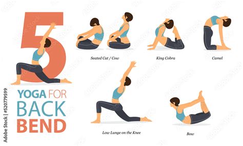 5 Yoga Poses Or Asana Posture For Workout In Back Bend Concept Women Exercising For Body
