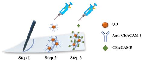 Portable Plasmonic Paper Based Biosensor For Simple And Rapid Indirect Detection Of Ceacam5