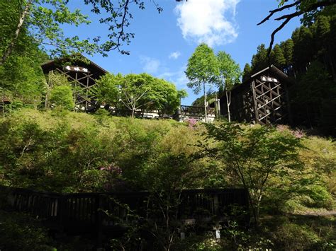 檜原都民の森 檜原村観光協会