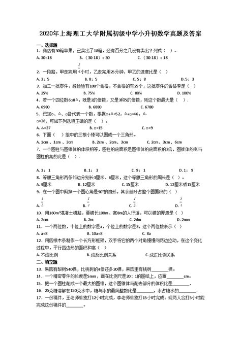 2020年上海理工大学附属初级中学小升初数学真题及答案 Word版