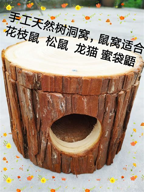 夏天怎么给松鼠做窝 如何给松鼠做窝 松鼠窝怎么布置 大山谷图库