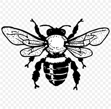 Honey Bee Clipart Black And White