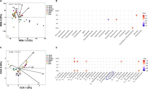 Frontiers Metagenomic Analysis Reveals Bacterial And Fungal Diversity