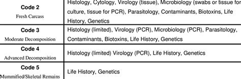 1 Outlines The Samples Of Value According To Condition Code Download Table
