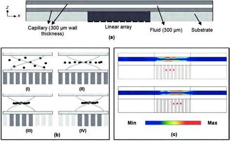 A Cross Section Of 1d Array Manipulation Device With Capillary B