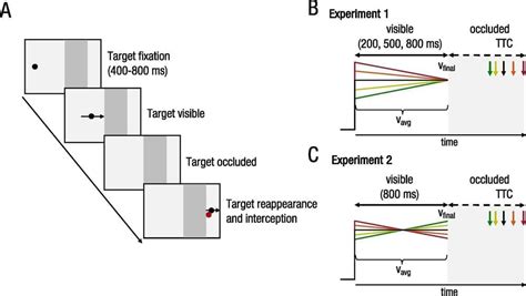 How Do Humans Integrate Target Motion Information