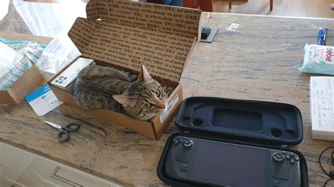 1632 Best Steamdeck Images On Pholder Steam Deck Pcmasterrace And Tomorrow