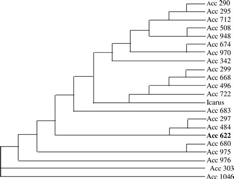 Figure 1 From Amplified Fragment Length Polymorphism Aflp Analysis Of