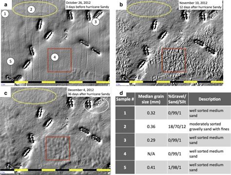 The 25 Cmpixel Gridded Shaded Relief Bathymetric Map Close Up Of A Download Scientific Diagram