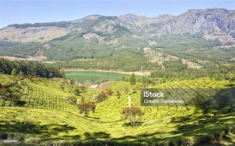 Plantación De Té Y Lake Kannan Devan Hills Munnar Kerala India Foto De
