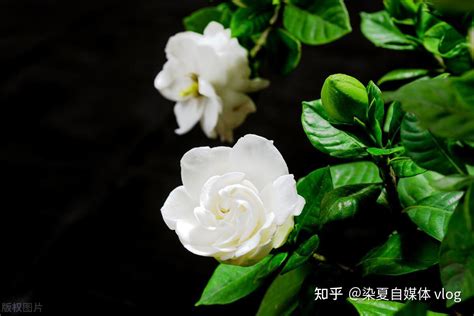 想要变得优秀要懂得反省 知乎