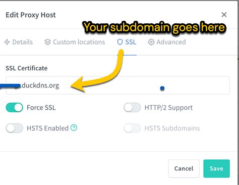 Use Nginx Proxy Manager With Home Assistant To Access Many Network
