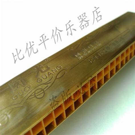新品包邮 上海老牌国光24孔c调古铜色特质高级回声初学专业口琴taotao06174