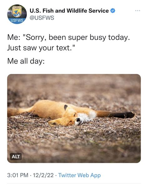 Sometimes R Adhdmeme