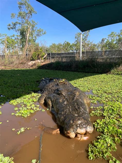 Sachin Samarawickrama On Linkedin I Was Lucky To Spend The Week In Sunny Darwin At My First