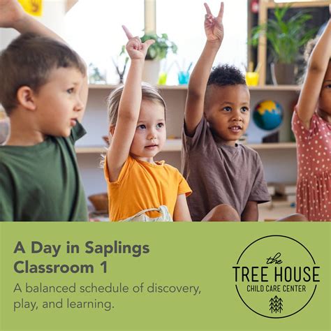 The Tree 🌳 A Day In The Life Of A Sapling Classroom 1 🌳 In Our Sapling Classroom Big