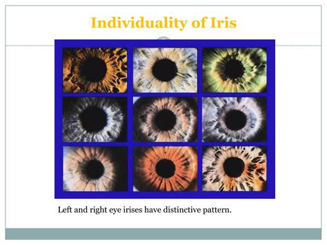 iris recognition seminar pptx