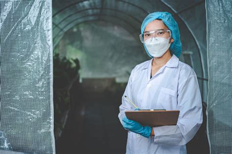식물학 실험실에서 농업 온실 자연 유기 과학 기술 또는 생명 공학성장 공장을 연구하기 위해 일하는 생물학 과학자 식품 산업을위한
