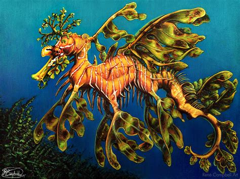 Traditional — René Campbell Art