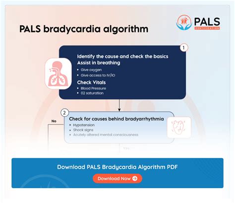 Pals Algorithms