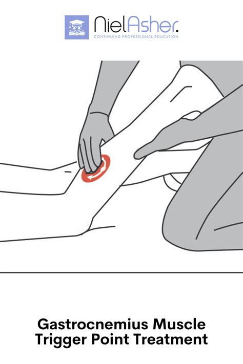 Trigger Point Therapy Treating Pectineus Artofit