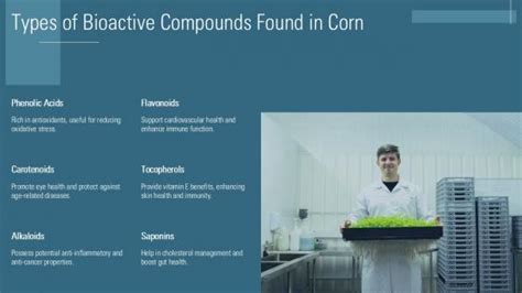 Types Of Bioactive Compounds Found In Corn Ppt Information Acp Ppt Example