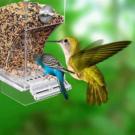 Automatic Bird Feeder With Timer