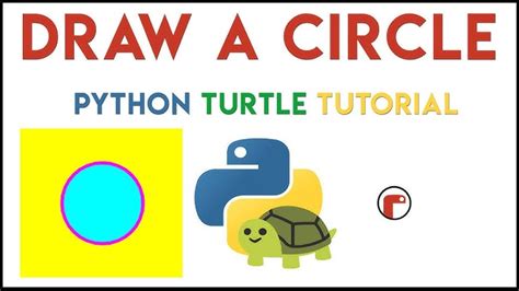How To Draw A Circle In Python Using Turtle