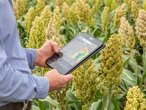 Smartsat Crc Aims For Agricultural Satellite Observation Capability