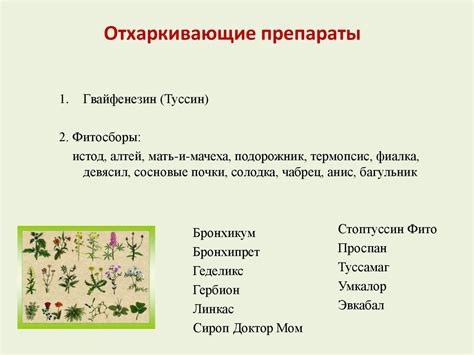 Кашель при ОРЗ рациональная тактика лечения на педиатрическом участке презентация онлайн