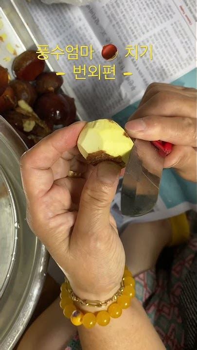 [1분 풍수] 풍수엄마 밤 치기 추석 밤 제사상차림 Shorts Youtube