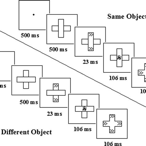 Schematic Representation Of The Trial Procedure In Experiment 2