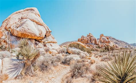 12 Gorgeous Joshua Tree Hikes You Need To Take From Easy To Difficult Destination Daydreamer