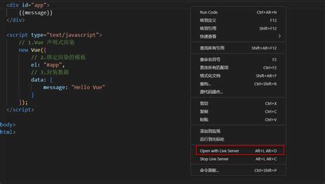Vue js 安装 Vue js 教程 核心编程