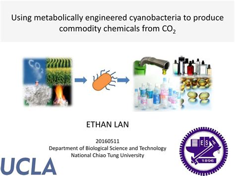 代謝工程學 metabolic engineering ppt video online download