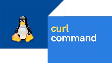 15 Curl Command Examples In Linux [cheat Sheet] Golinuxcloud