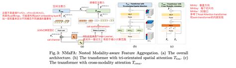 Nestedformer：nested Modality Aware Transformer For Brain Tumor