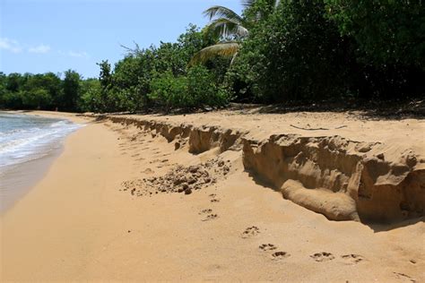 Wp3 Coastal Erosion Interreg Carib Coast