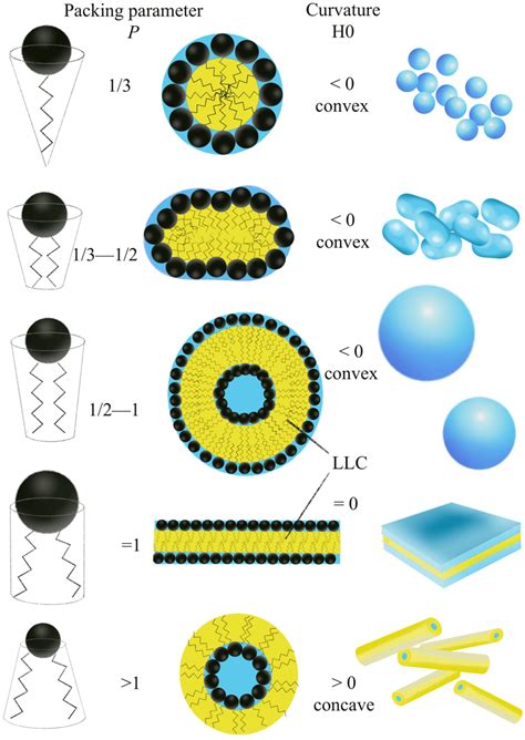 Assembly Properties Of Amphiphilic Molecules According To Their Download Scientific Diagram