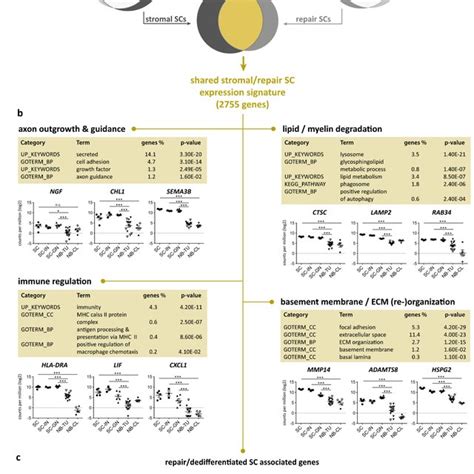 Transcriptome Profiling And Functional Annotation Analysis Of Genes