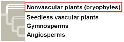 Bio 1202 Exam 3 Flashcards Quizlet