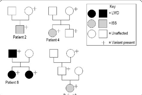 pedigrees and inheritance patterns of the four families where samples