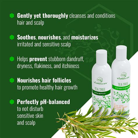 Tea Tree Shampoo And Conditioner Set