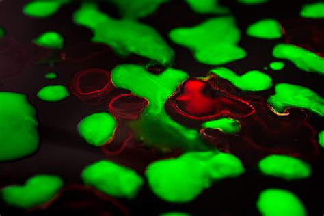 Solar Technology Breakthrough At Uq