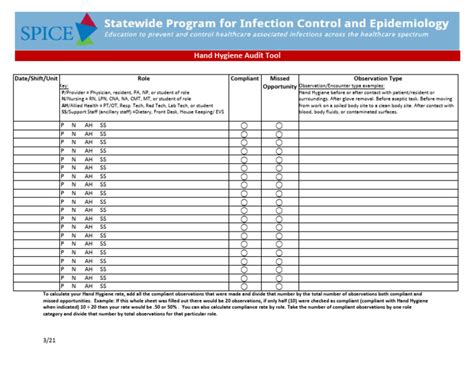 Hand Hygiene Audit Tool Version 2 Pdf Clinical Medicine Medical Specialties