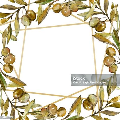 그린 올리브 수채화 배경 그림을 설정합니다 수채화 그리기 녹색 잎 프레임 테두리 장식 스퀘어입니다 그리기에 대한 스톡 벡터 아트