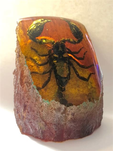 Scorpion Fossils In Amber