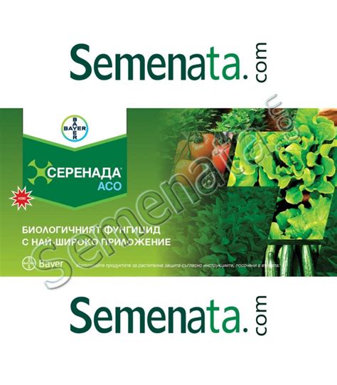 Биологичен фунгицид с най широко приложение Серенада Асо Serenada Aso